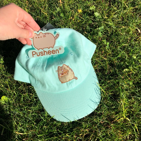 Pusheen | Accessories | Pusheen Nwt Teal Sushi Pusheen Hat | Poshmark